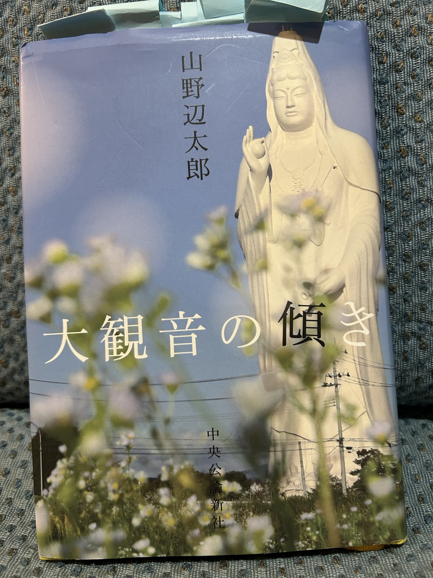【Book Review】“Daikannon no Katamuki,” (The lean of the Daikannon), Taro ...