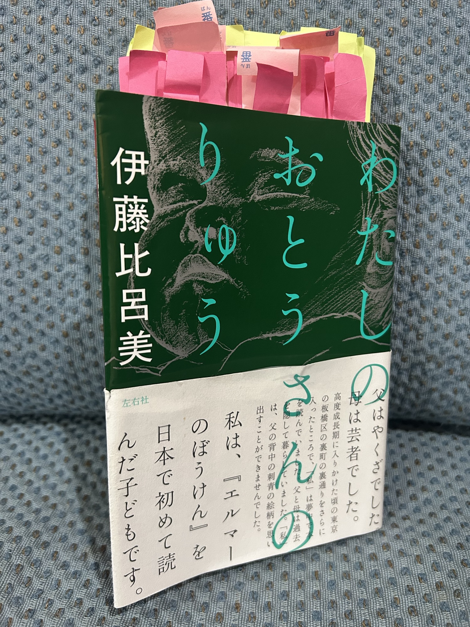 【Book Review】Watashi no Otosan no Ryu (My Father’s Dragon) by Hiromi ...